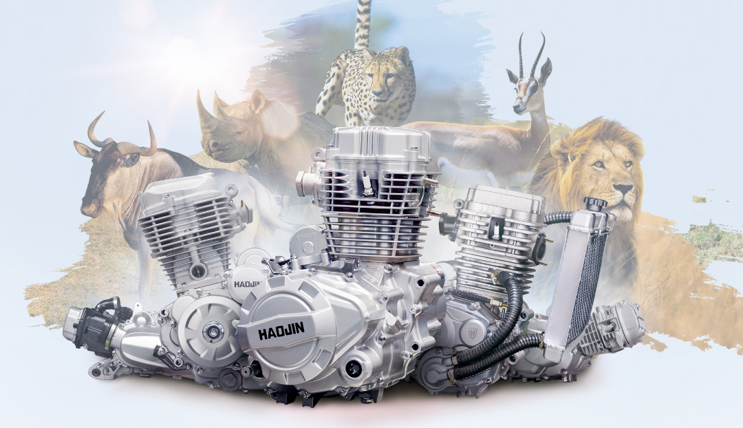 Guangzhou Haojin Motorcycle Co., Ltd.